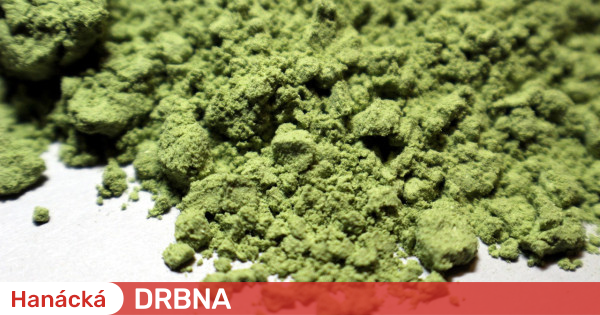 HHC automaty v Olomouckém kraji: města problematiku řešila už delší dobu