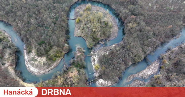 Jedinečný přírodní úkaz v Litovelském Pomoraví. Voda protrhla břeh ...