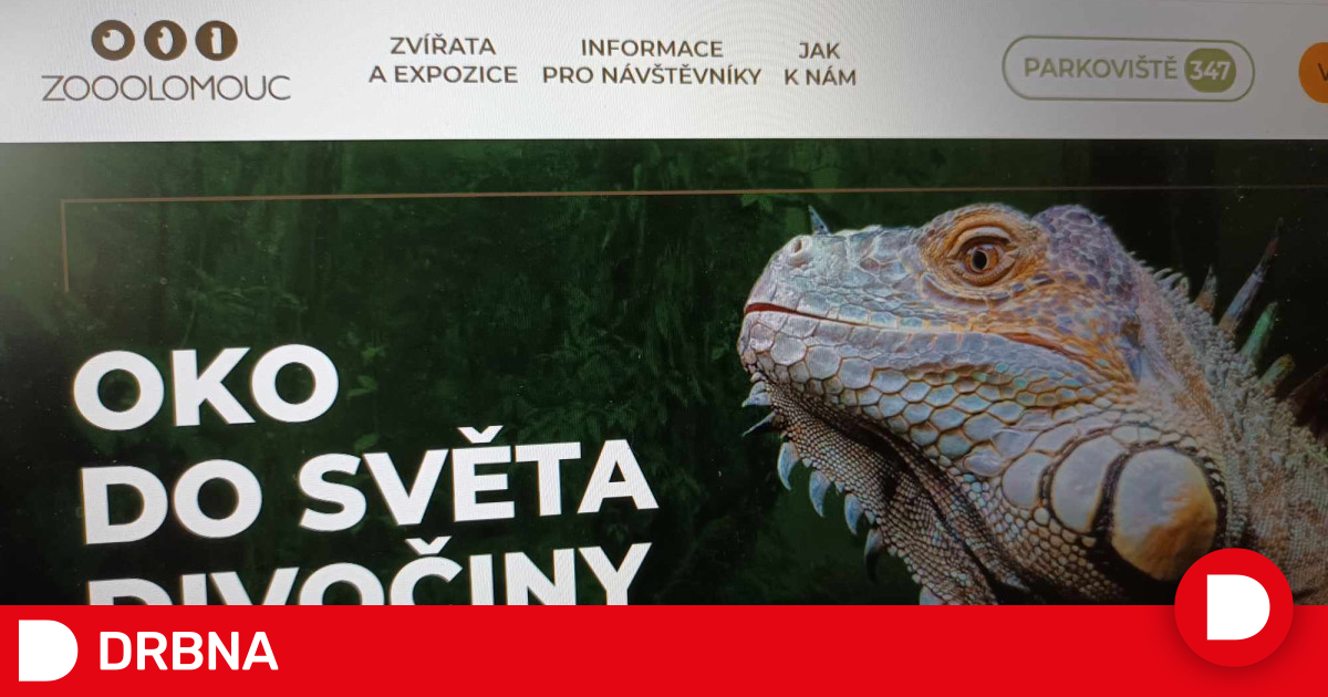 Dá se zaparkovat u zoo Olomouc? Informace jsou nyní online, zahrada má ...