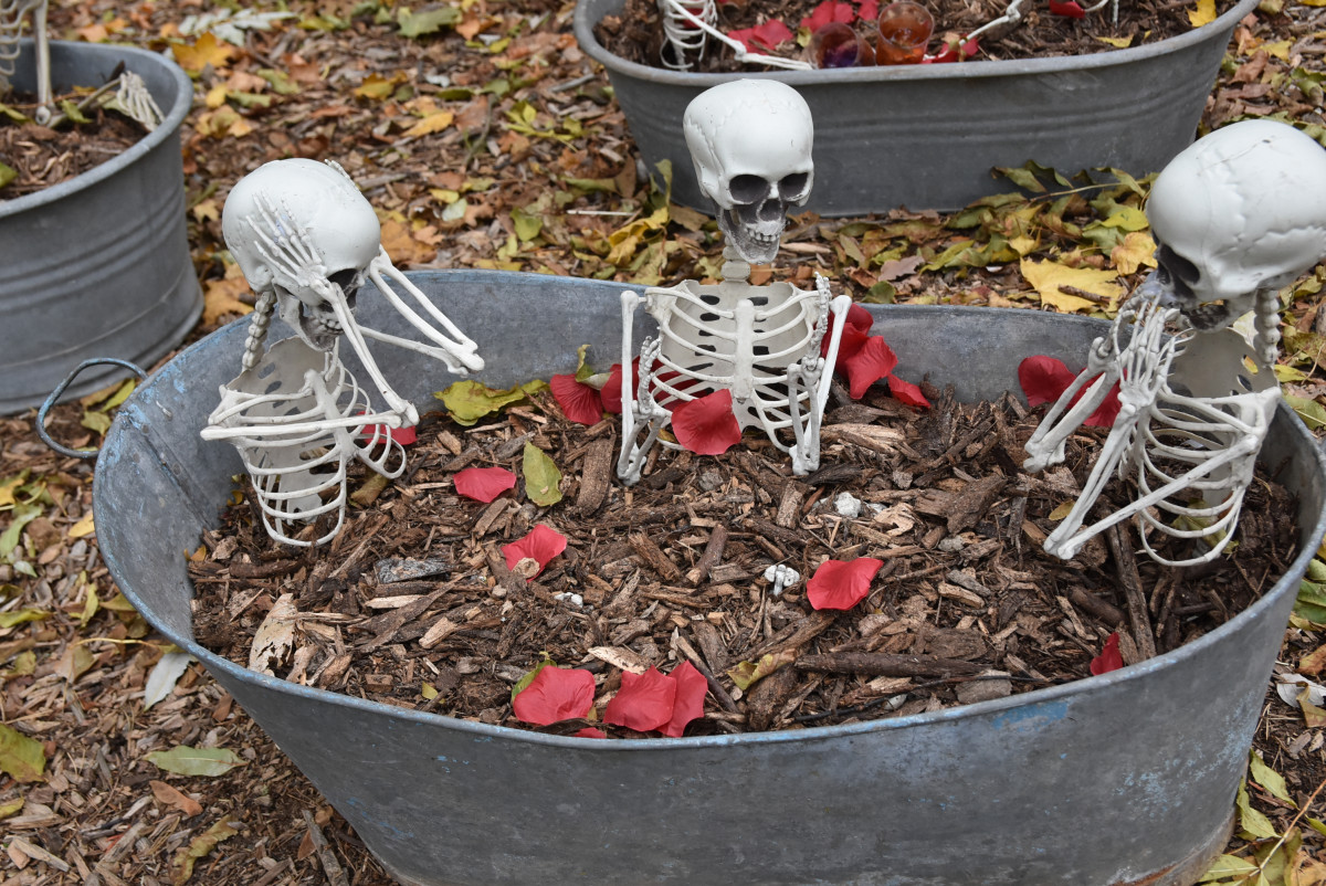 Strašidelný týden na Svatém Kopečku. Speciální akce lákají davy do Zoo ...